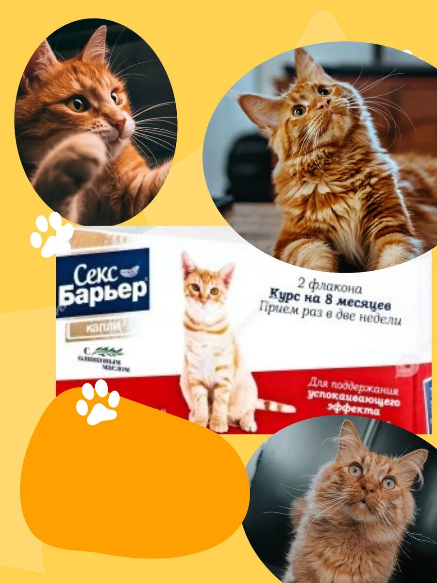Капли Астрафарм Курс секс Барьер, для кошек, контрацепция, 2 флак