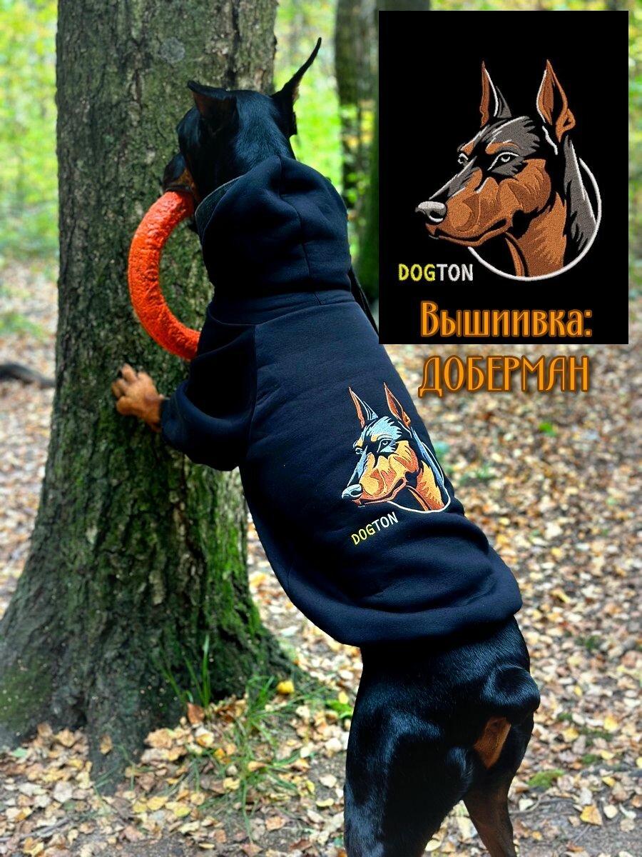Худи для собак DOGTON "Доберман", черный, с вышивкой, с капюшоном, начес, размер XXXL