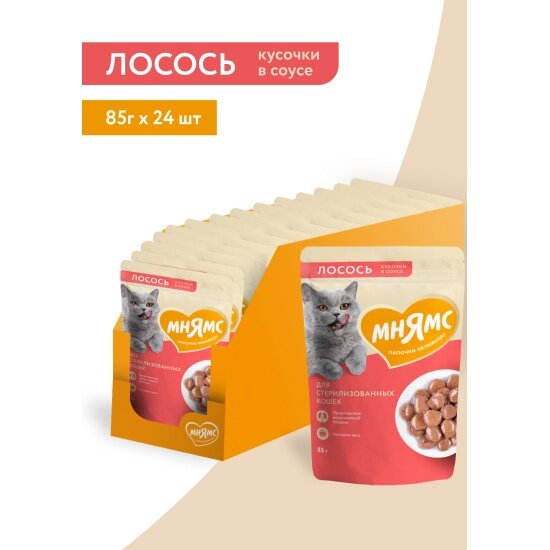 Корм влажный Мнямс Кусочки в соусе с лососем для стерилизованных кошек, 24шт х85 г.