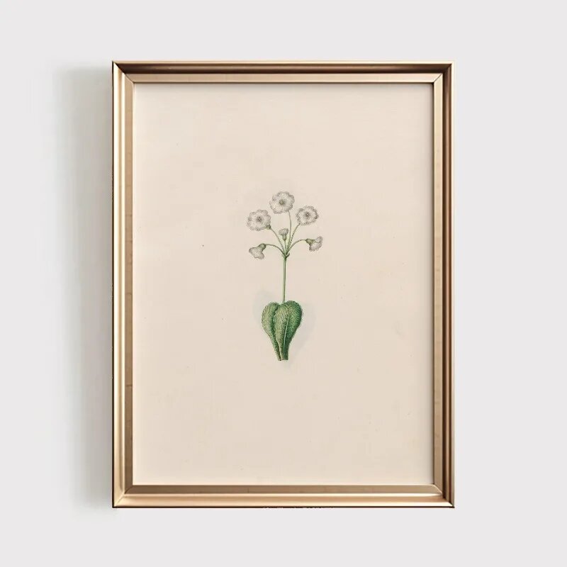 Флоральный постер 20x30см, цвет 3, без рамы