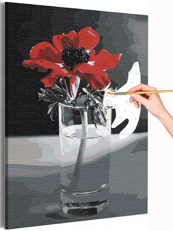 Красный мак на черно-белом фоне / Цветы Раскраска картина по номерам на холсте 30х40