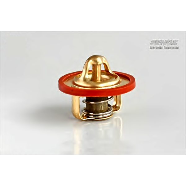 FENOX TS011 (1338044 / 6201247 / 96143939) термостат