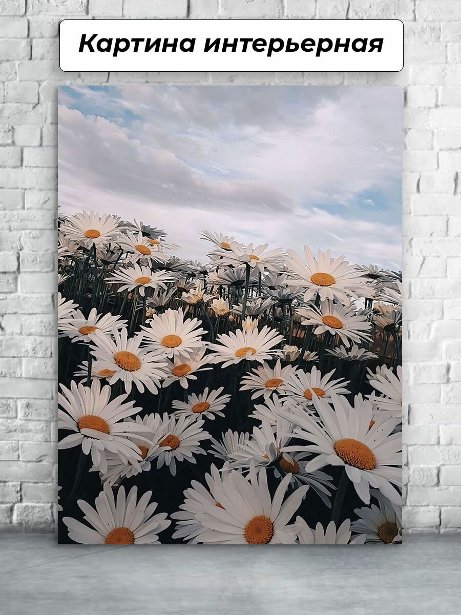 Картины для интерьера 30х40 Ромашки в поле цветы