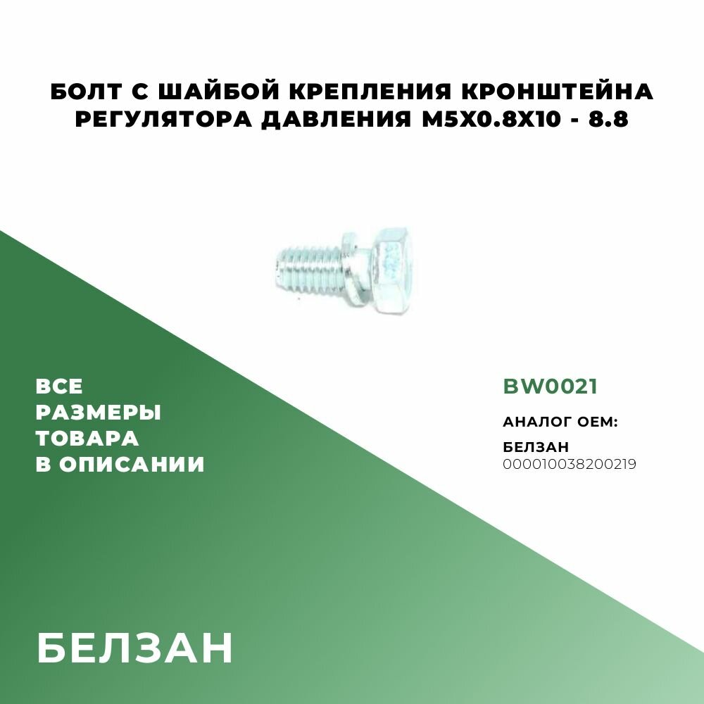 Болт с шайбой кронштейна регулятора давления M5х10х0,8-8.8; 5 шт; ОЕМ:000010038200219; BW0021