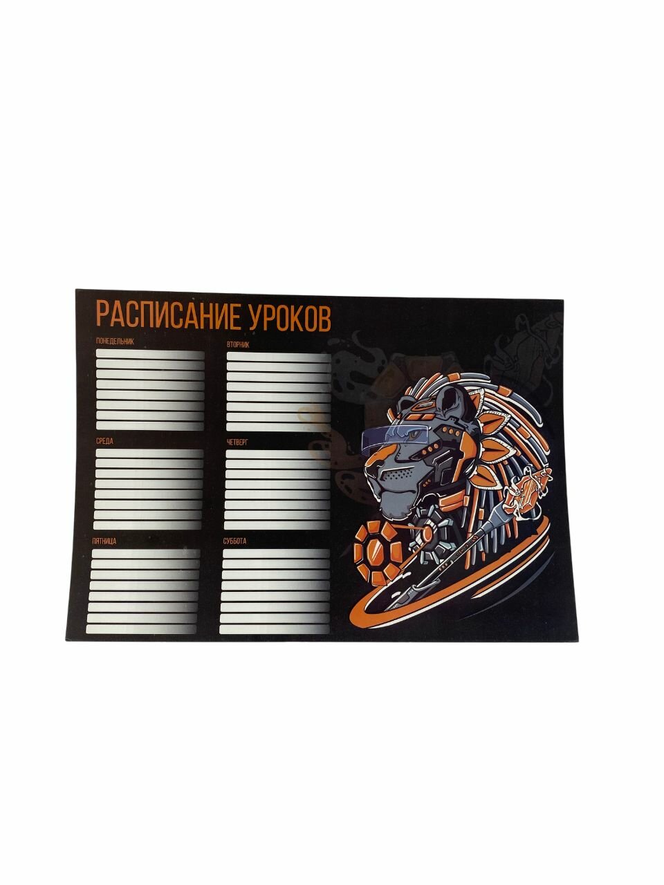 Расписание уроков Феникс+ А4 кибер ЛЕВ мелованный картон 60357