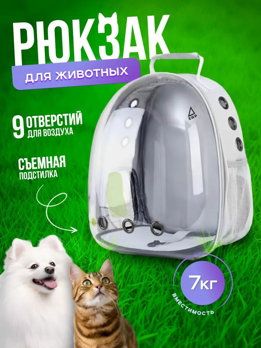 Чемодан для животных на колесиках черный