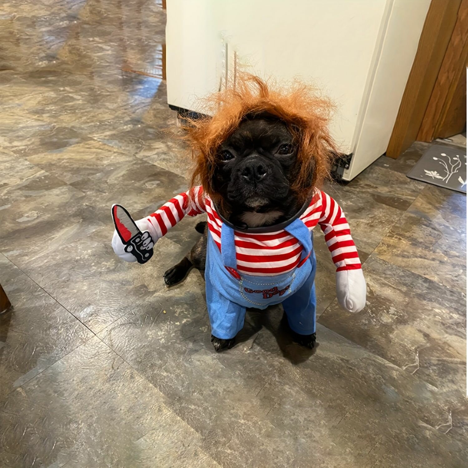 Pet Одежда Собаки