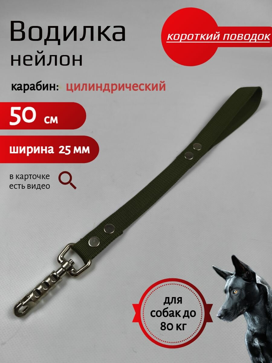 Мини-поводок Хвостатыч для собак с цилиндрическим карабином нейлон 50 см х 25 мм (зеленый)