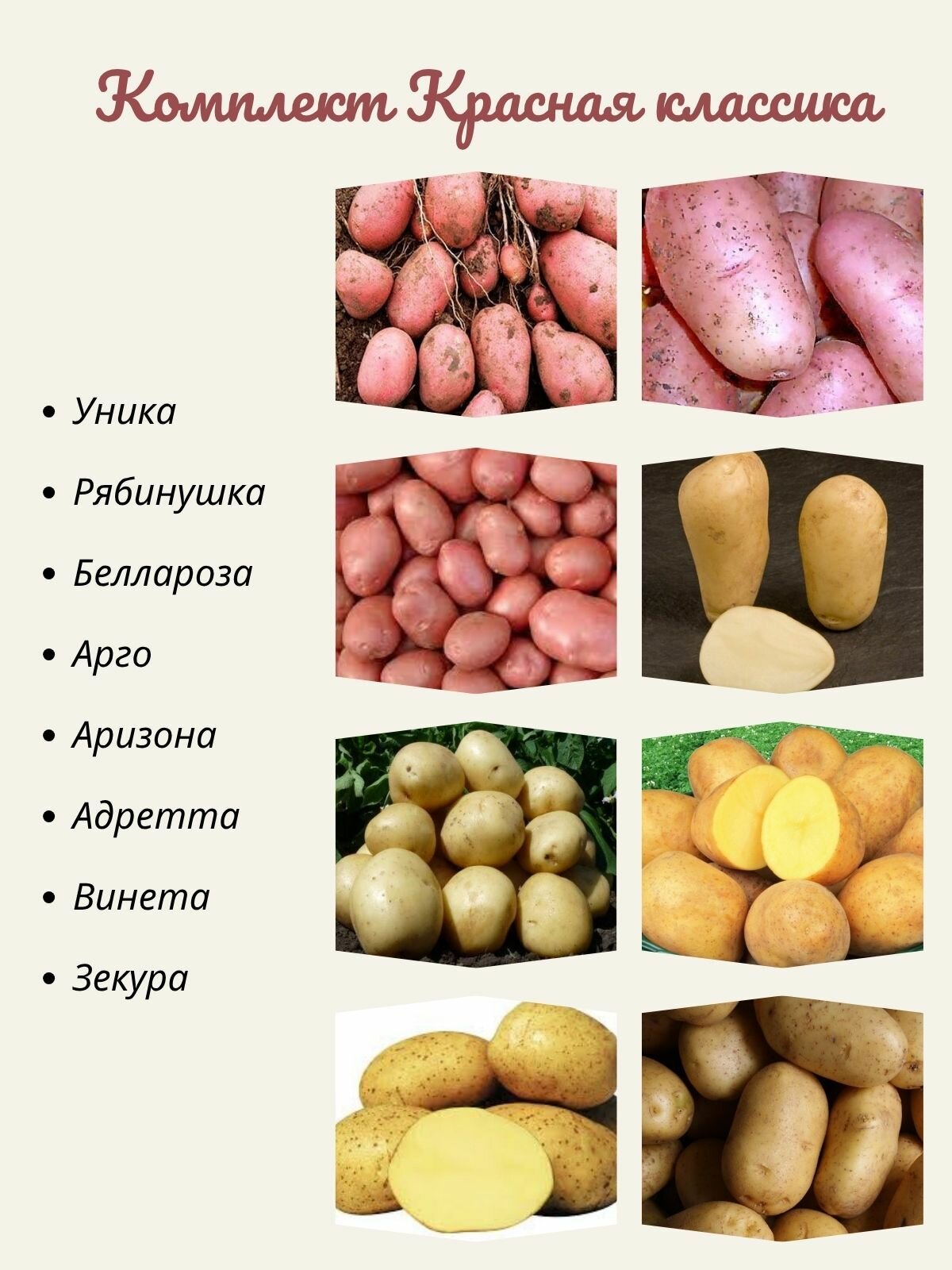 Комплект картофеля из 8 сортов "Красная классика" 4 кг