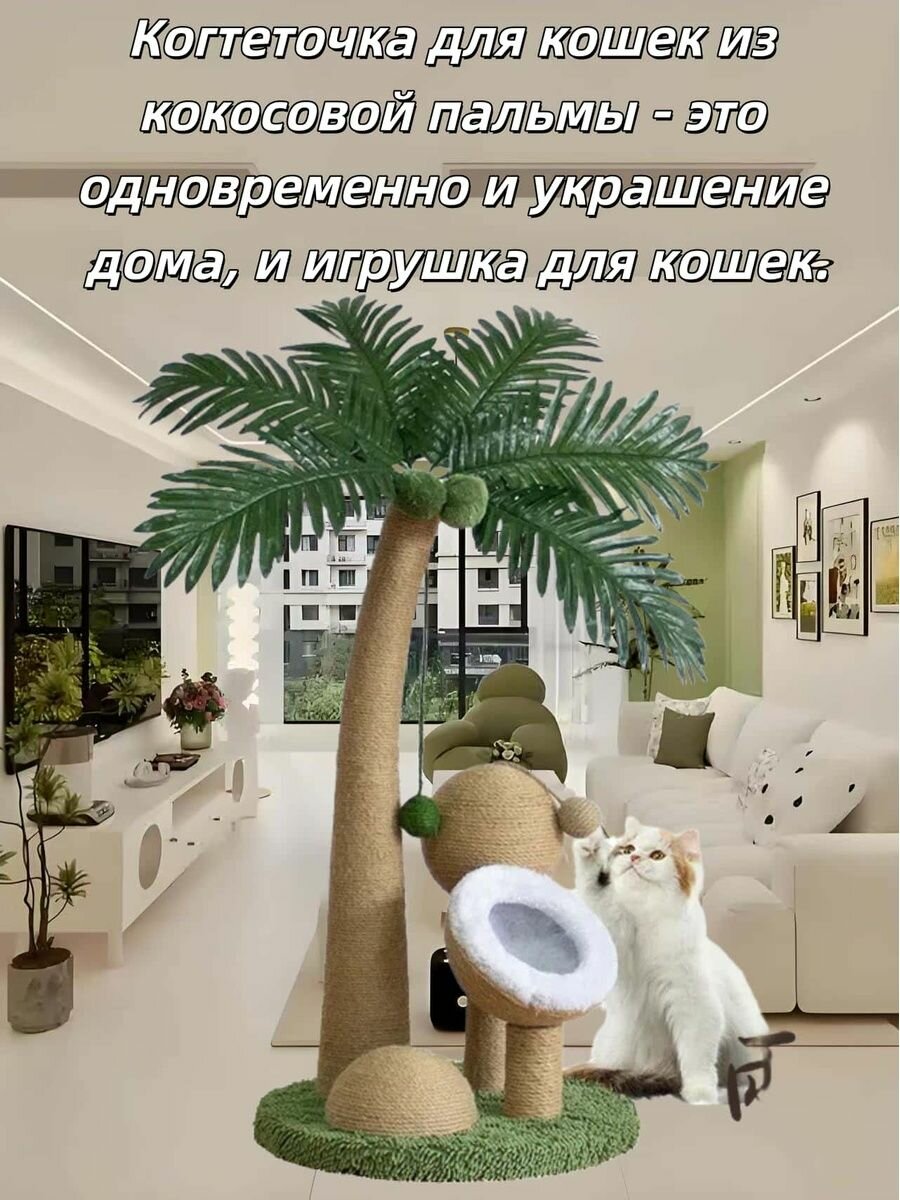 Кокосовые пальмы в тропическом лесу-3 кокосовых плода, каркас для лазания по кошкам, лежанка для кошек, когтеточка для кошек