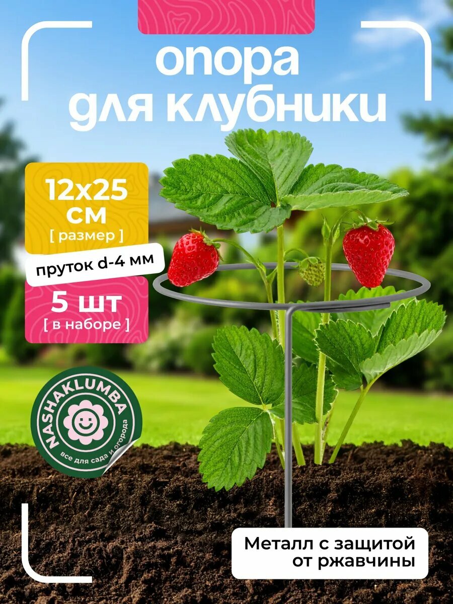 Опора для клубники NashaKlumba, оцинкованная, d-0.12 м, h-0.25 м, 5 шт