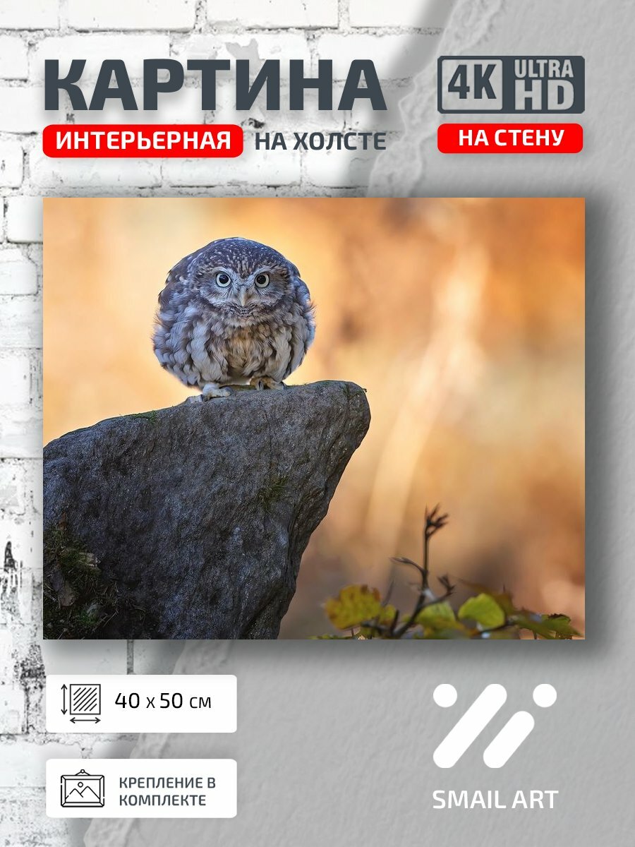 Картина на холсте интерьерная 40 на 50 на стену План Animal для детской animal style декор