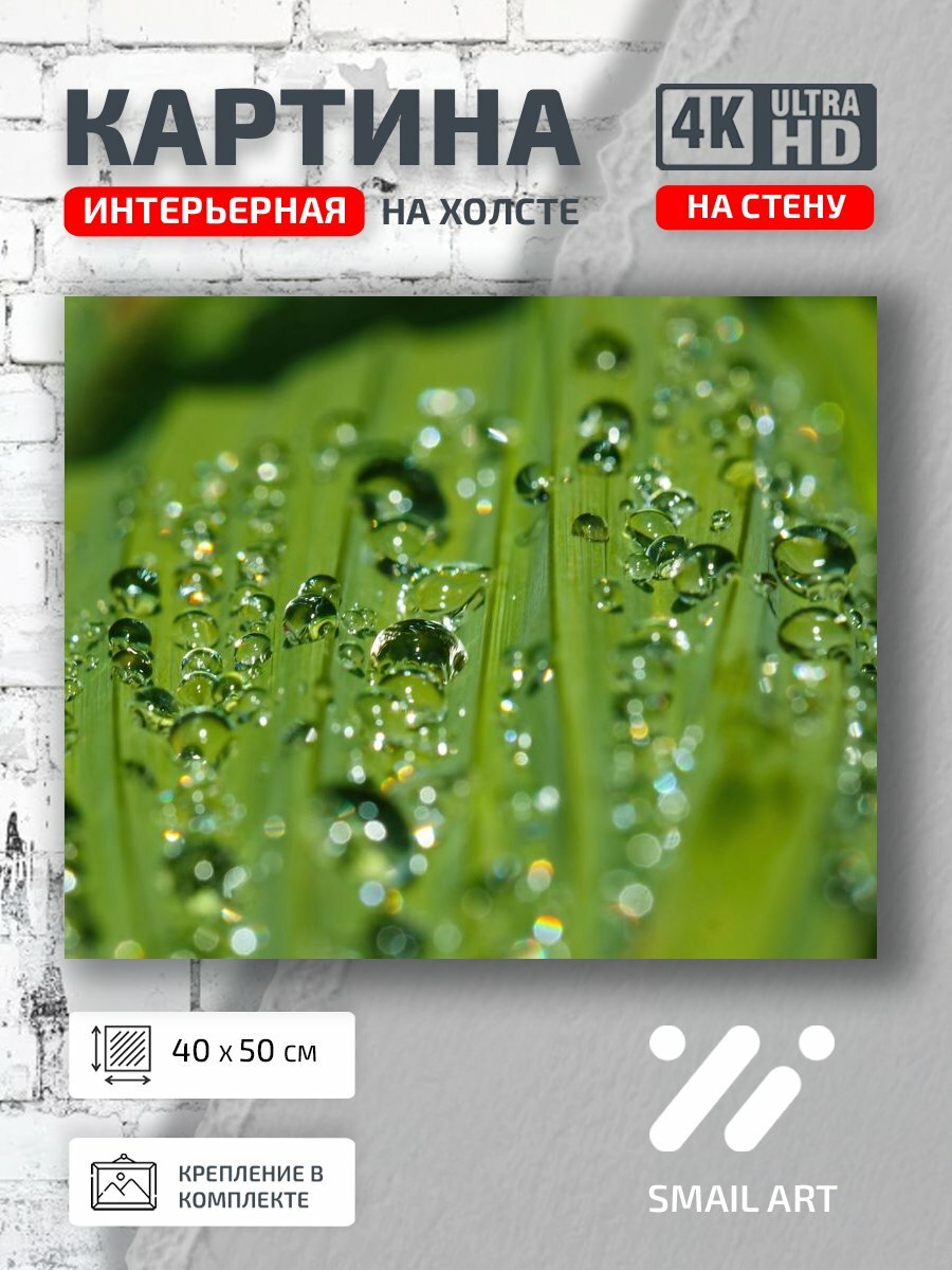Картина на холсте интерьерная 40 на 50 на стену Капли Macro для гостиной макро интерьер