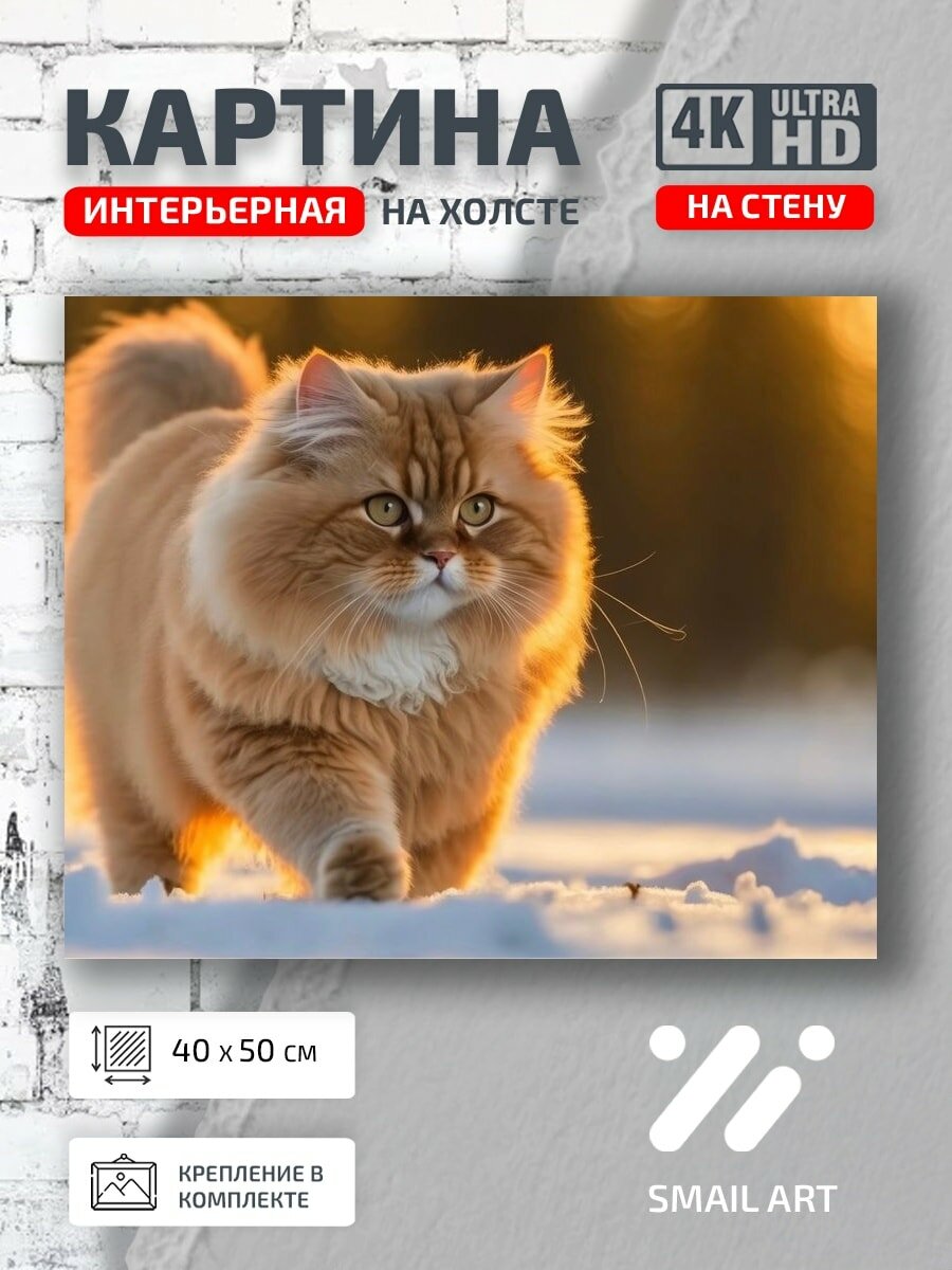 Картина на холсте интерьерная 40 на 50 на стену Животные Кот для студии атмосфера