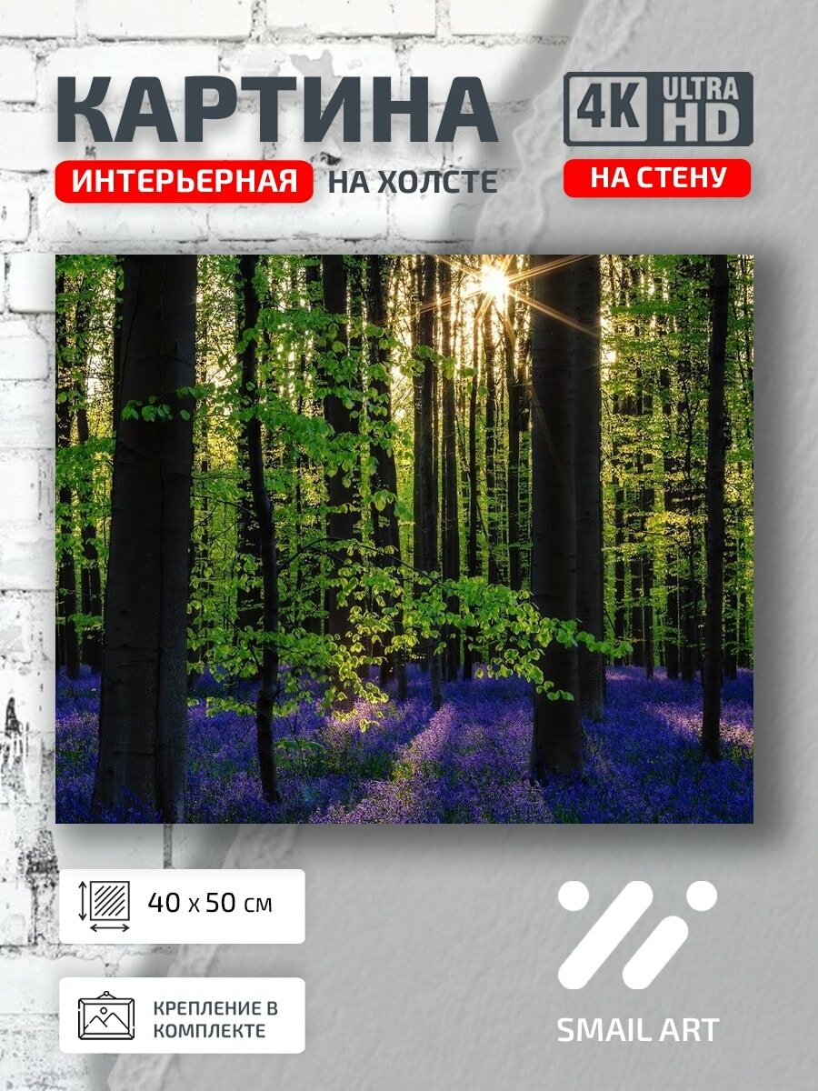Картина на холсте интерьерная 40 на 50 на стену Природа лес для офиса пейзаж