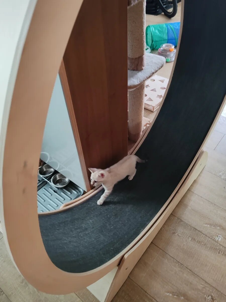 Беговое колесо Когтеточки Киров КН-094, для кошек и собак, 120см