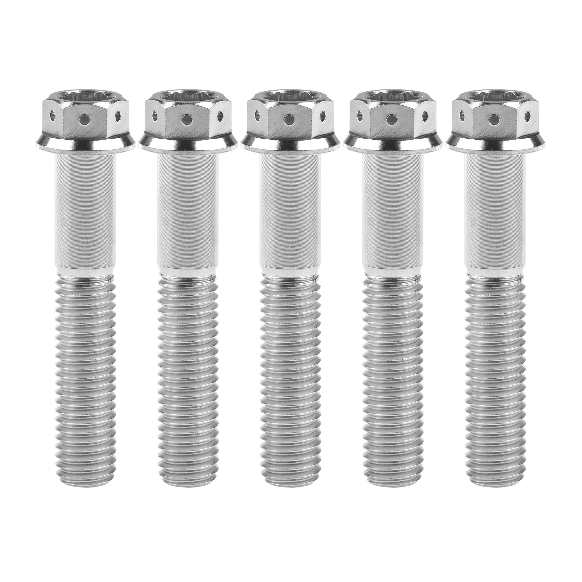 Титановые болты Xingxi M10 5 шт. M10 1.5 Pitch, Titanium, 70mm