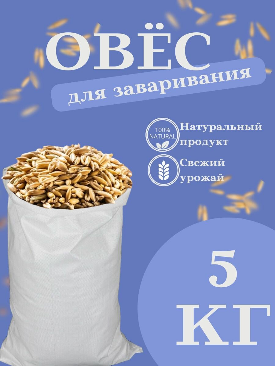 Овес для отваров и проращивания 5 кг
