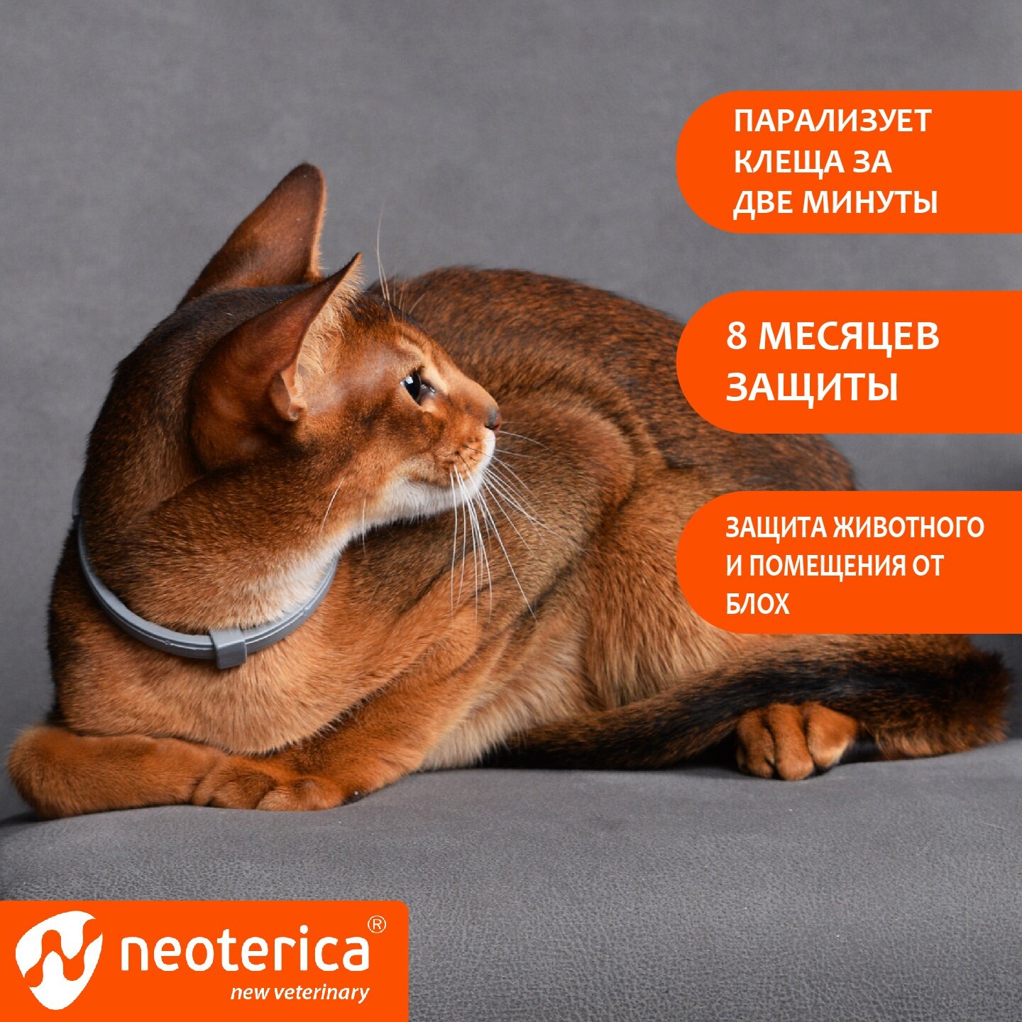RolfClub 3D Ошейник для кошек, от блох, клещей, насекомых, 40 см — фото 1