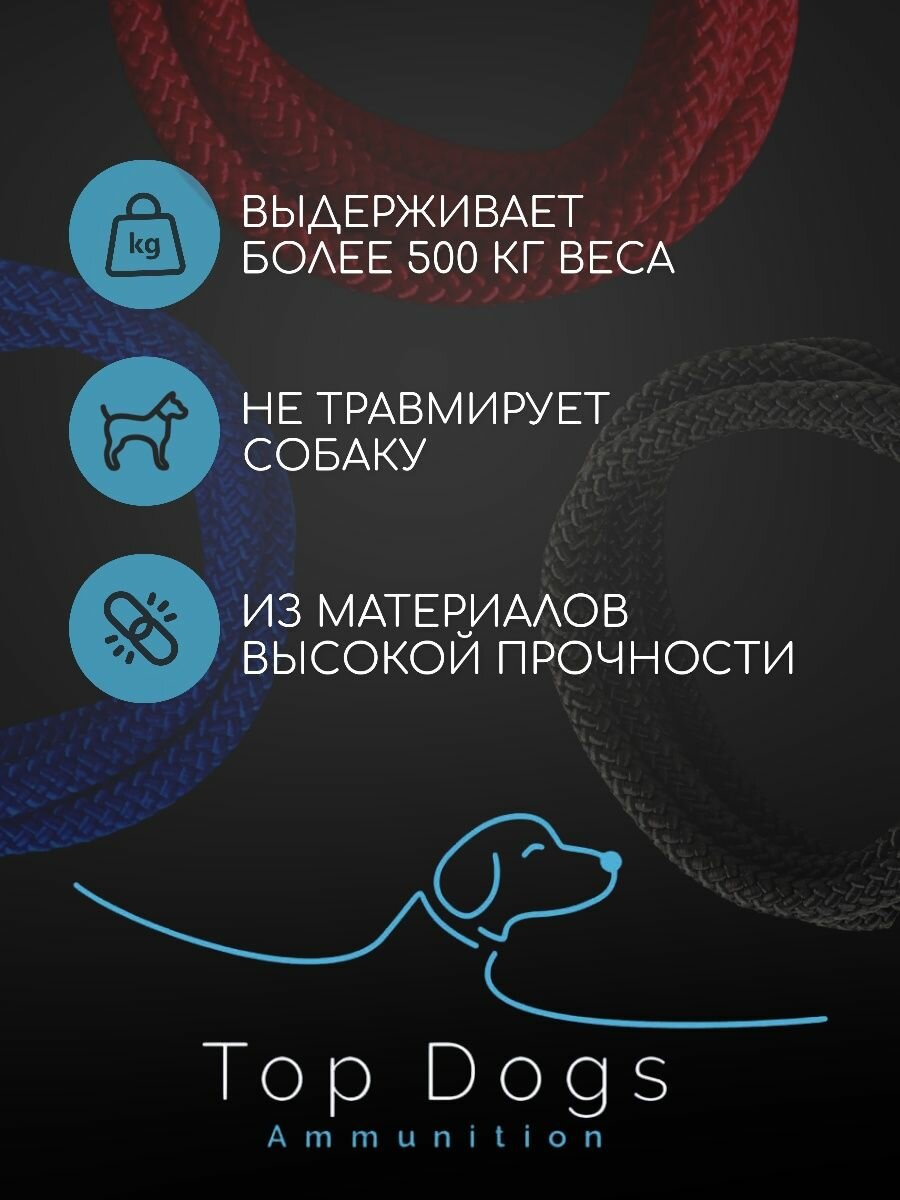 Ошейник-контроллер Top Dogs, для собак, металлический фиксатор, S, синий, 8мм — фото 1