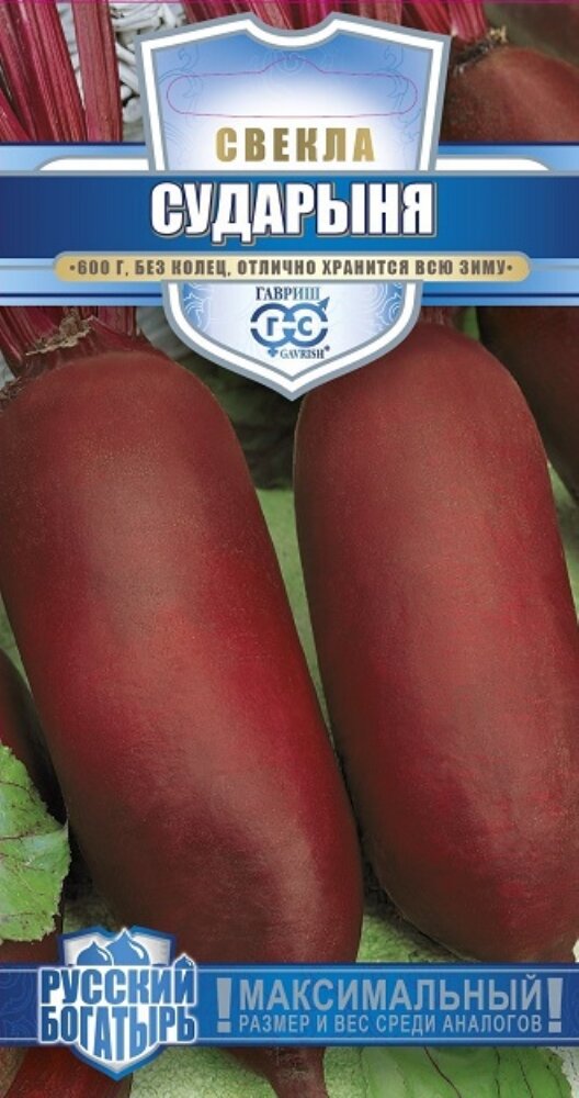 Семена Свекла Сударыня 2г цилиндрическая (Гавриш) Русский богатырь