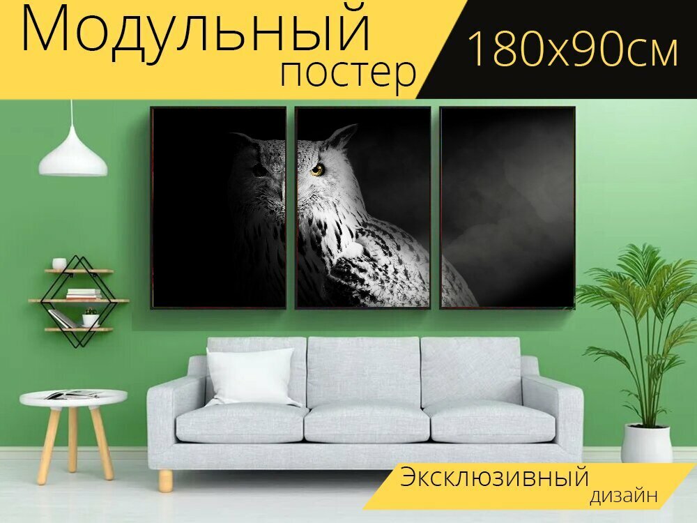 Модульный постер "Сова, сова, изолированные" 180 x 90 см. для интерьера