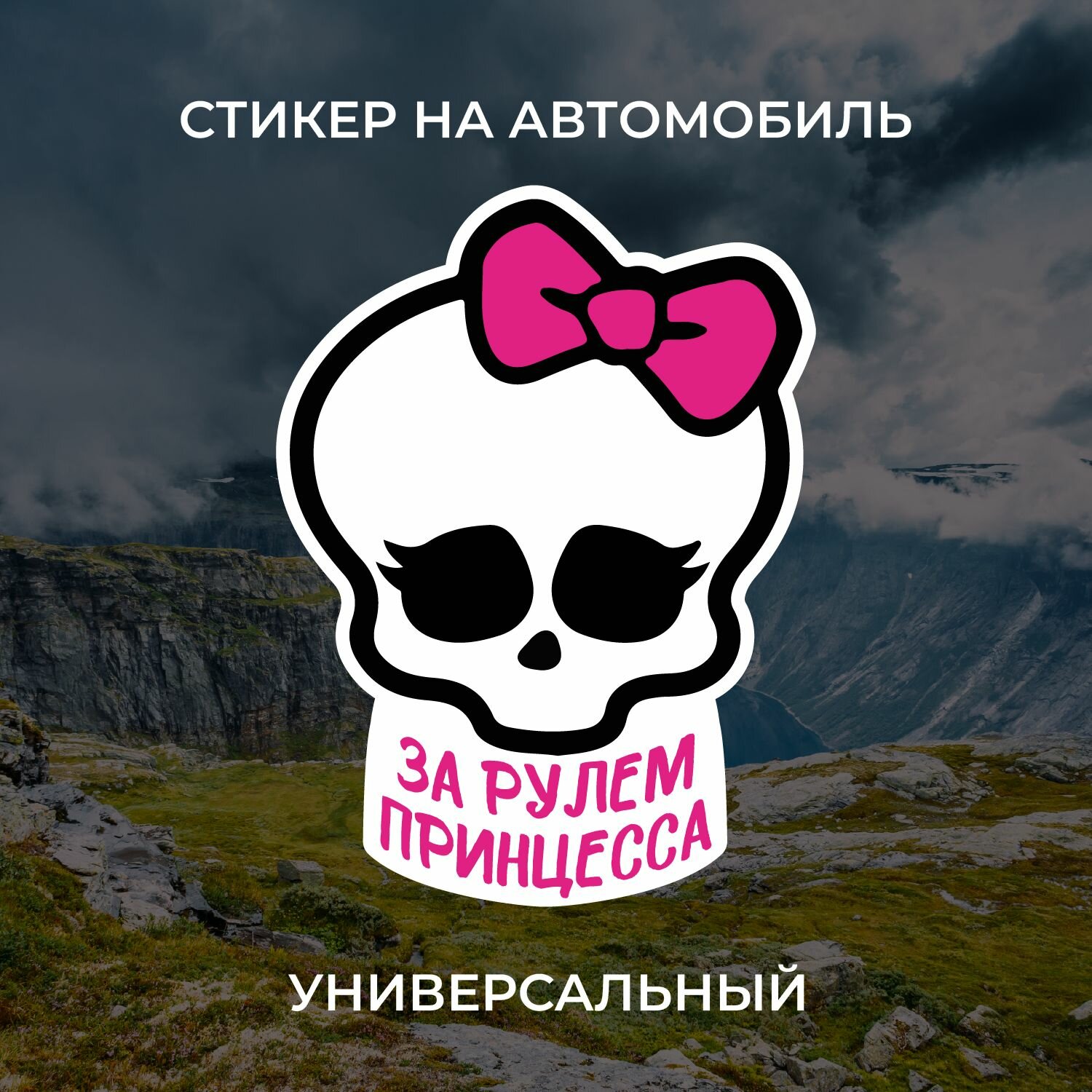Стикер наклейка на авто и другое - Череп за рулем принцесса