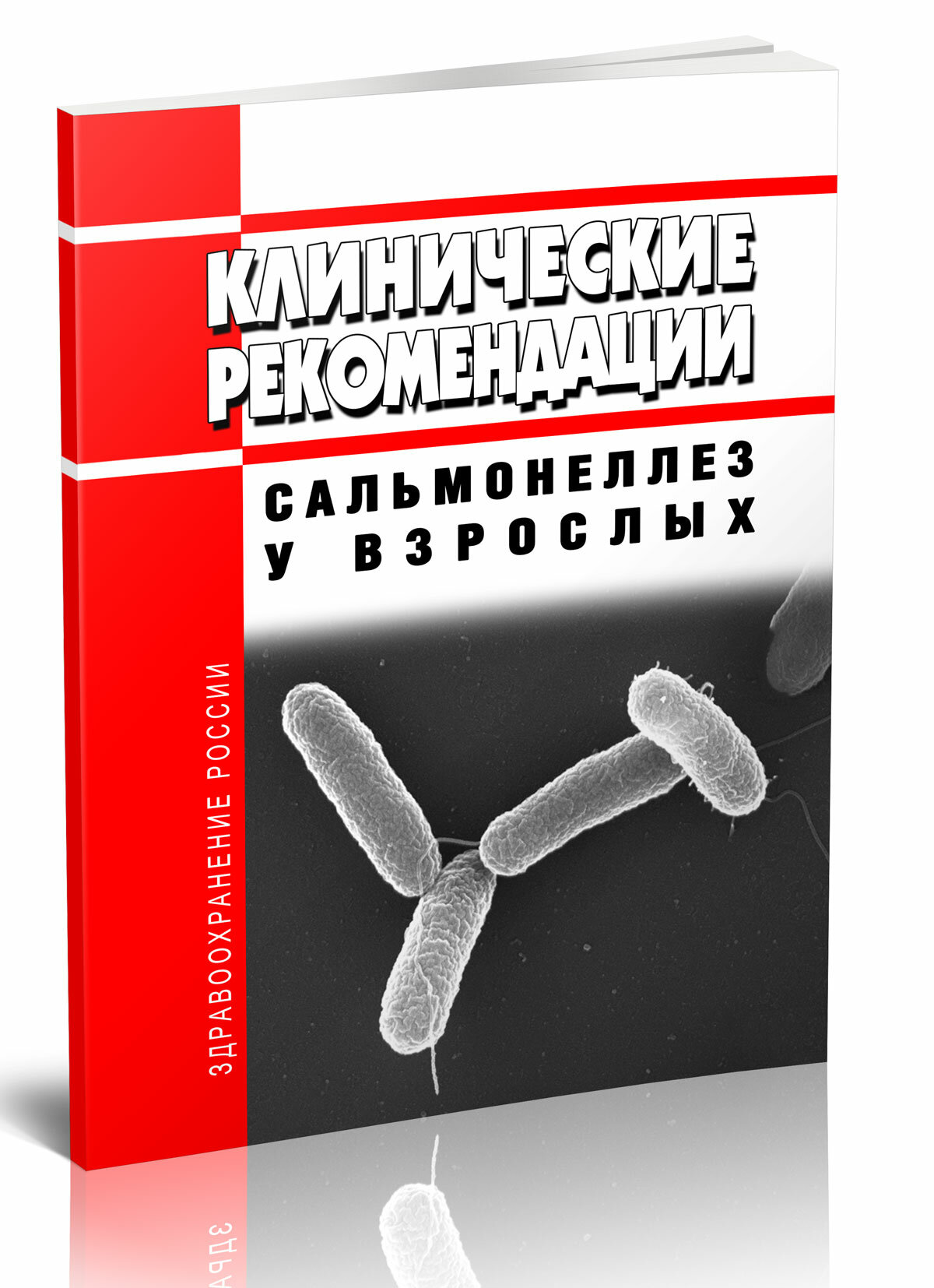 Клинические рекомендации Сальмонеллез у взрослых