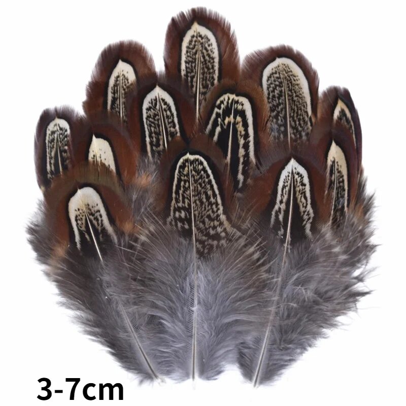Натуральные перья фазана, павлина, орла, куриные перья, страусиные перья, набор из 20 штук Коричневый, 20Pcs, 3-7cm