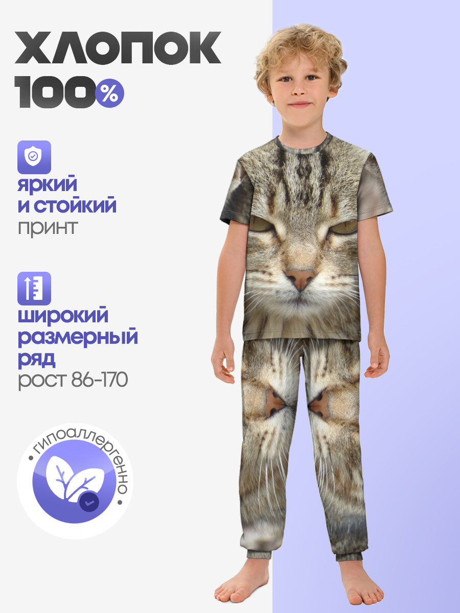 Пижама Коты и кошки