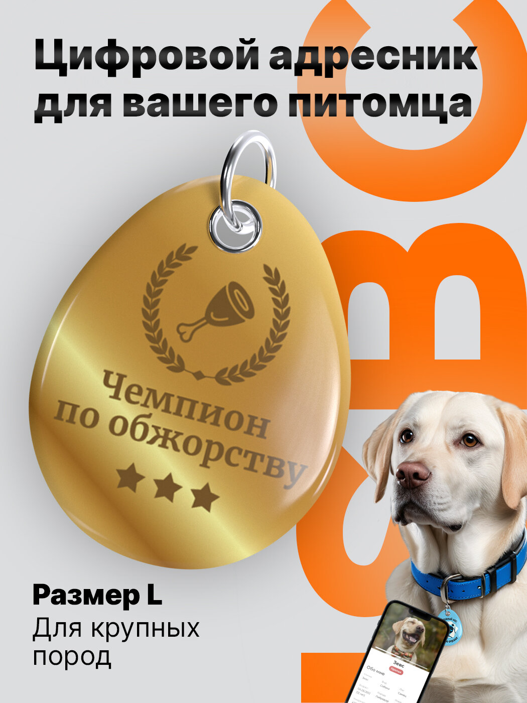 Адресник для собак средних и крупных пород от ISBC с NFC и QR-кодом, Чемпион по обжорству