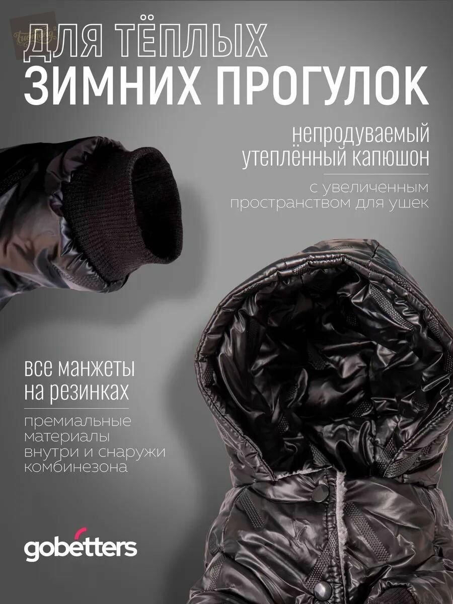 Одежда для животных — фото 1