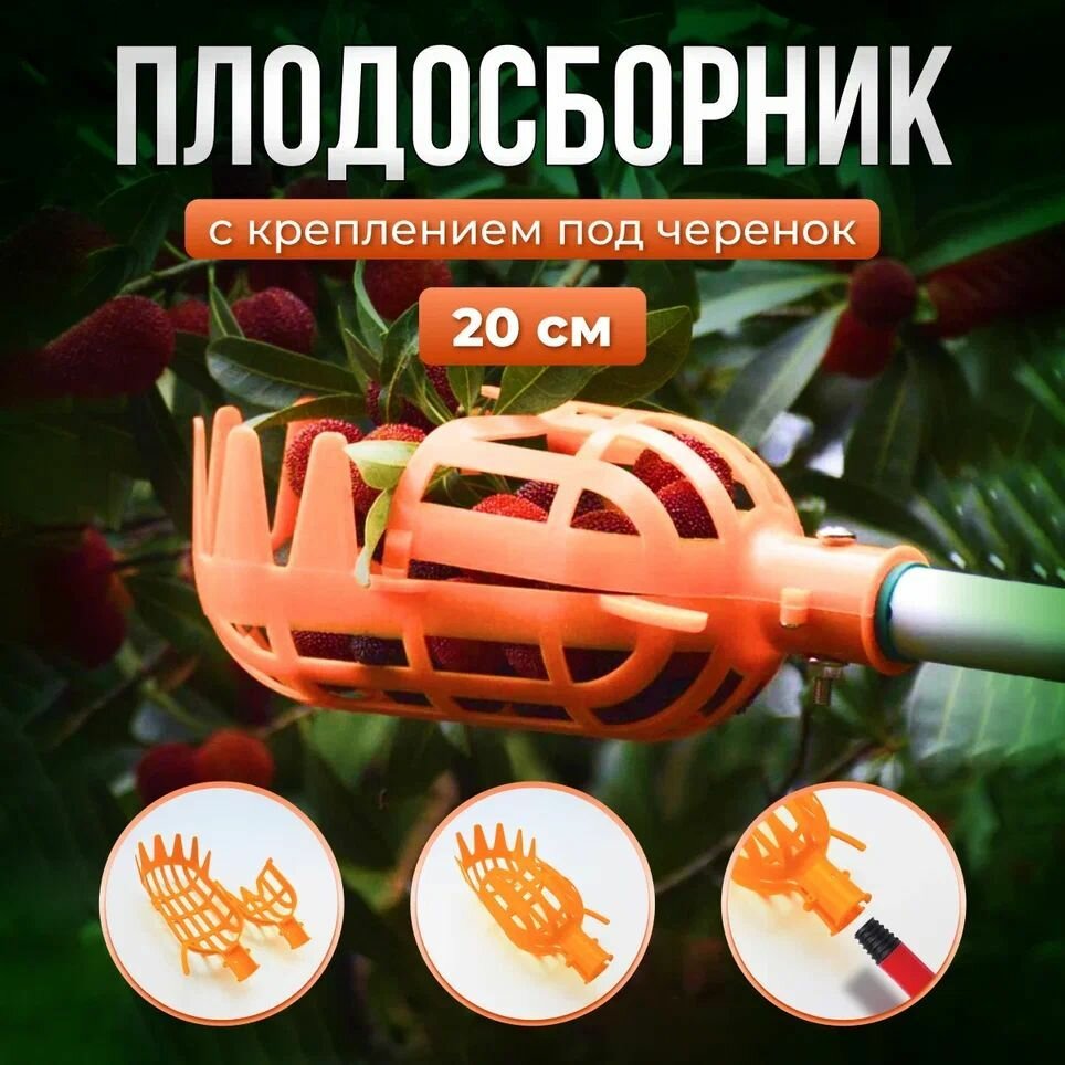 Плодосборник