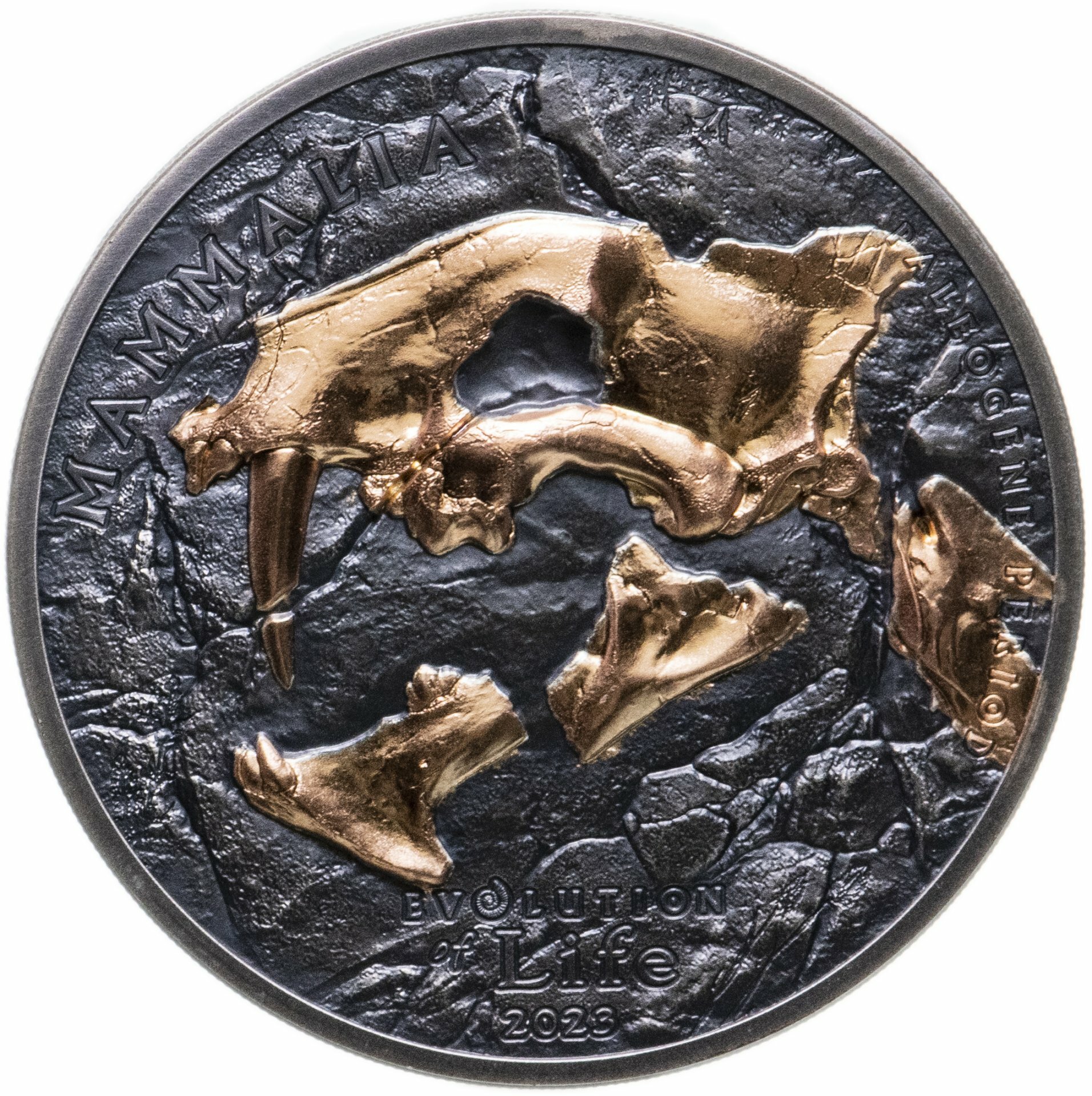 Монголия 500 тугриков 2023 "Эволюция - Нимравиды доисторическая кошка" в подарочном боксе с сертификатом, Серебро 999, в сохранности UNC