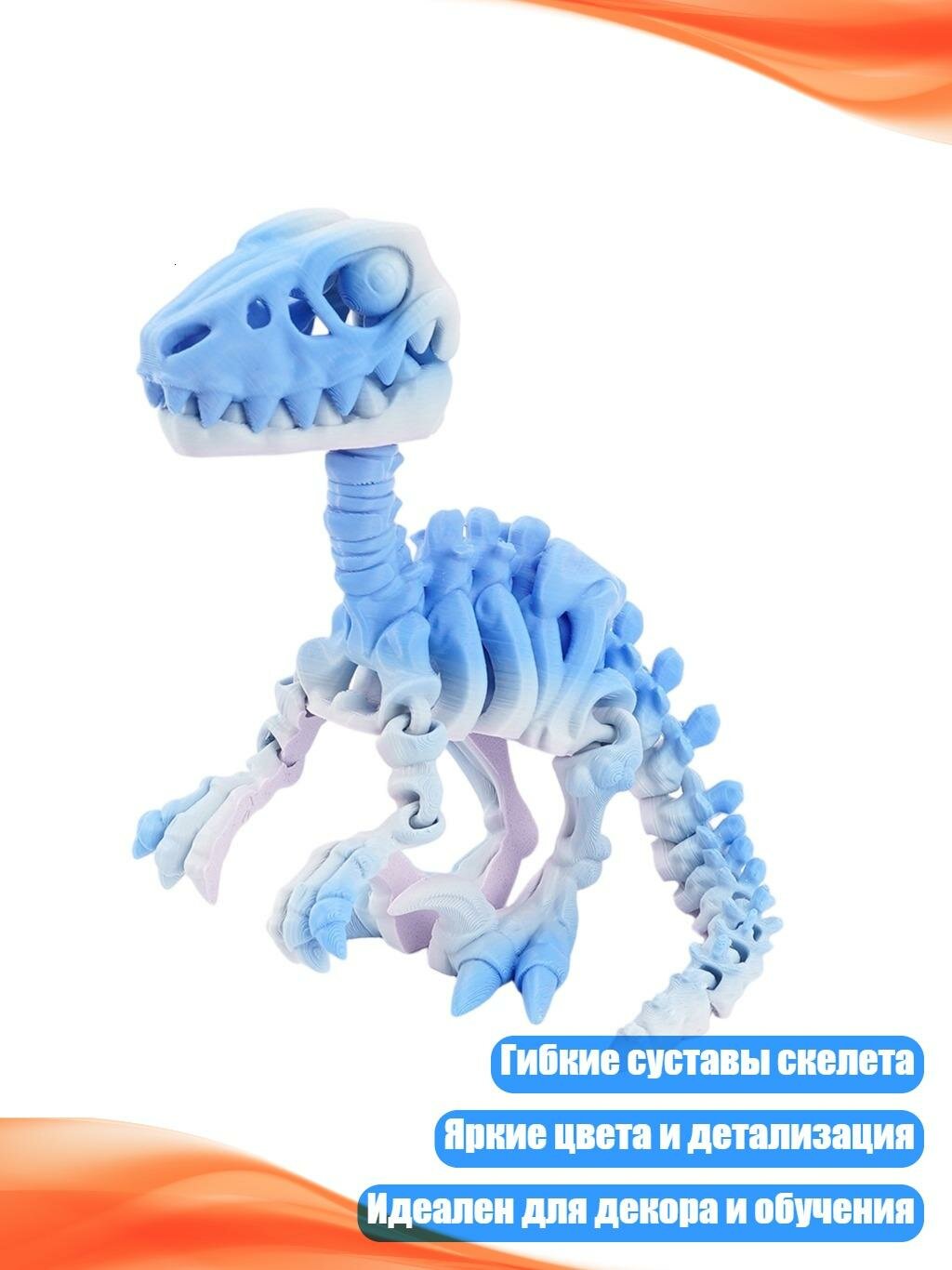 3D-модель скелета динозавра велоцираптора, про - 3