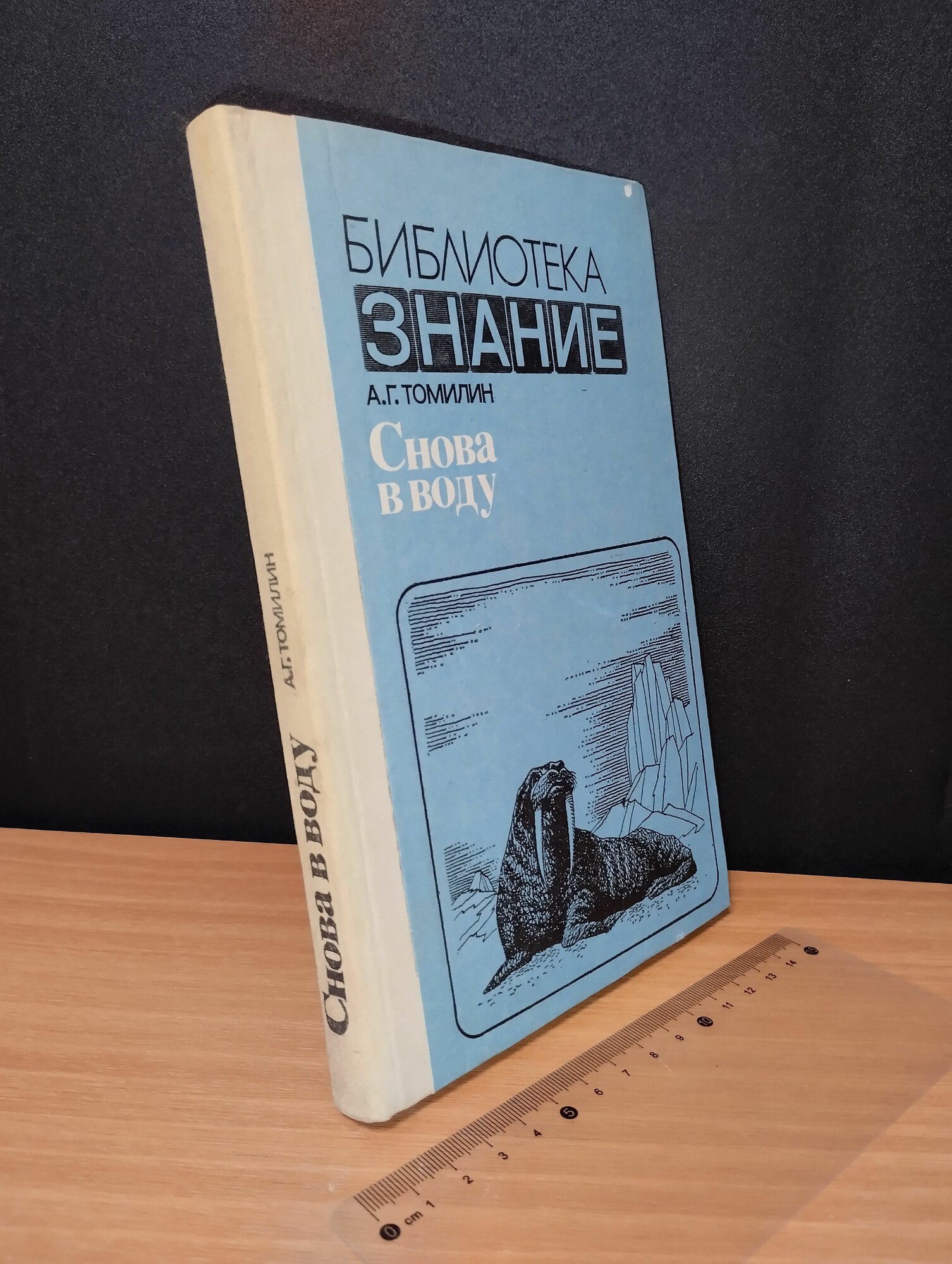Снова в воду. Томилин Авенир Григорьевич. 1984