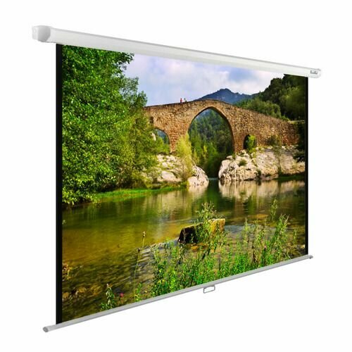 Экран Cactus WallExpert CS-PSWE-220x165-WT, 220х165 см, 4:3, настенно-потолочный белый