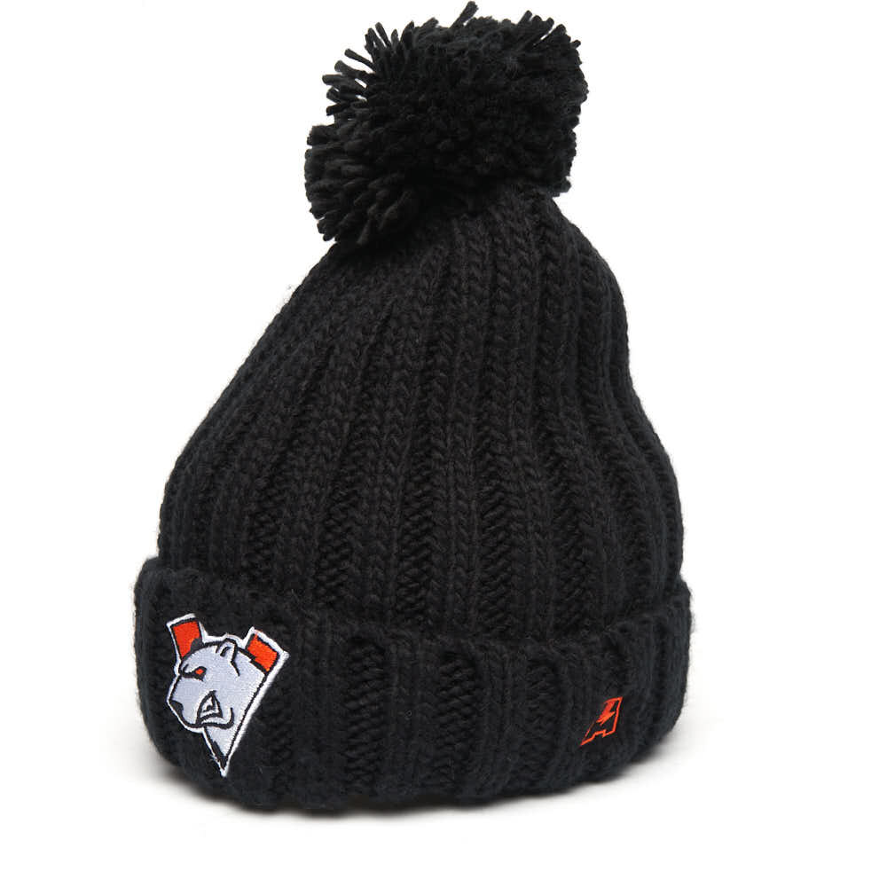 Шапка Virtus Pro для мужчин