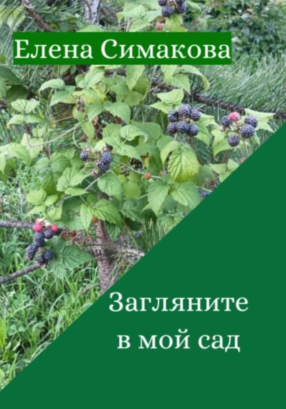 Загляните в мой сад [Цифровая книга]