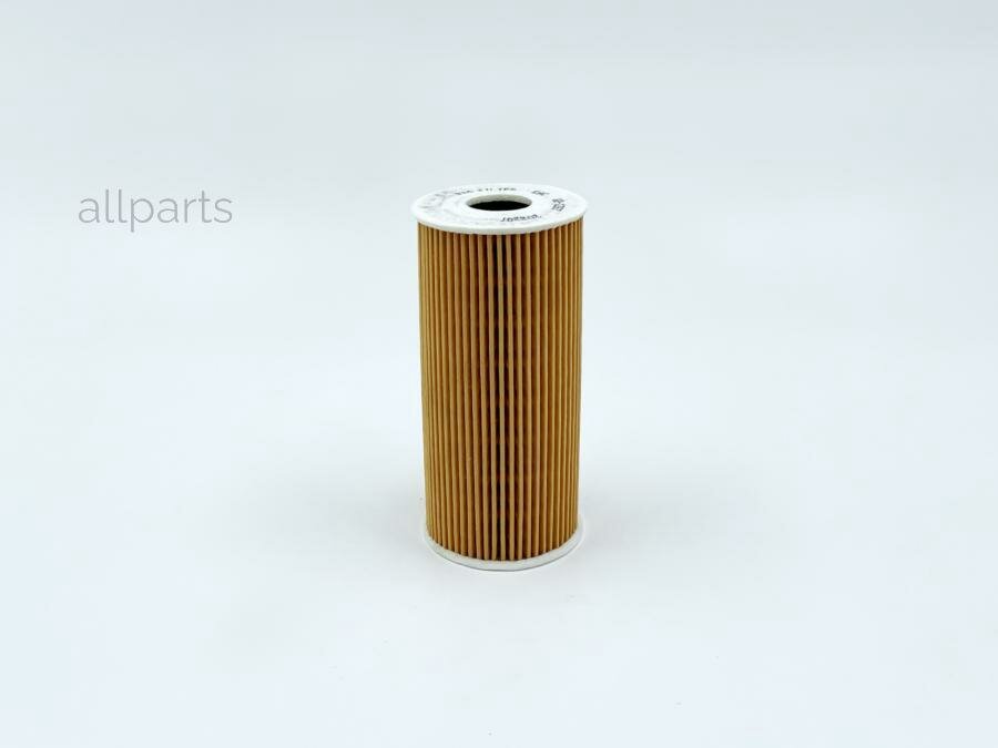 BIG FILTER GB1267 Фильтр масляный (вставка)