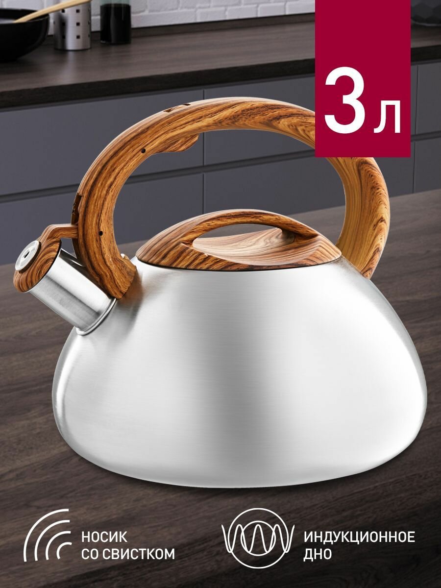 Чайник со свистком WEBBER BE-0593, 3 л, индукционное дно