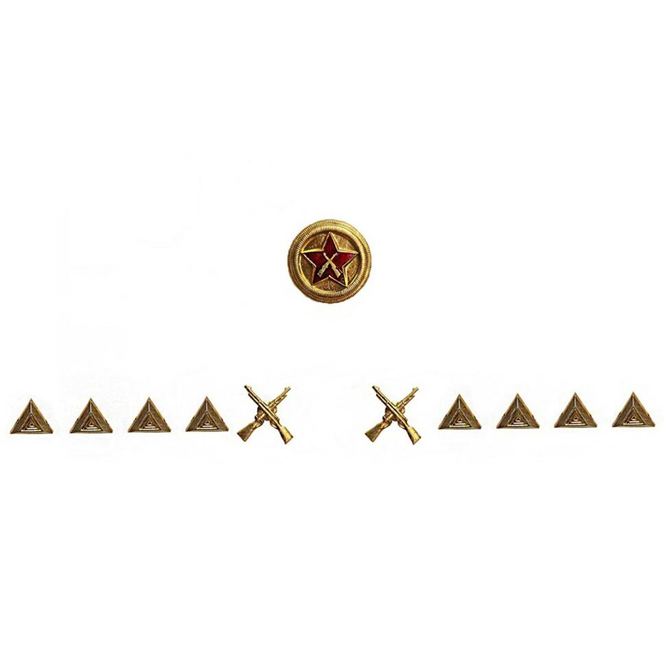Комплект знаков различия старшина вохр