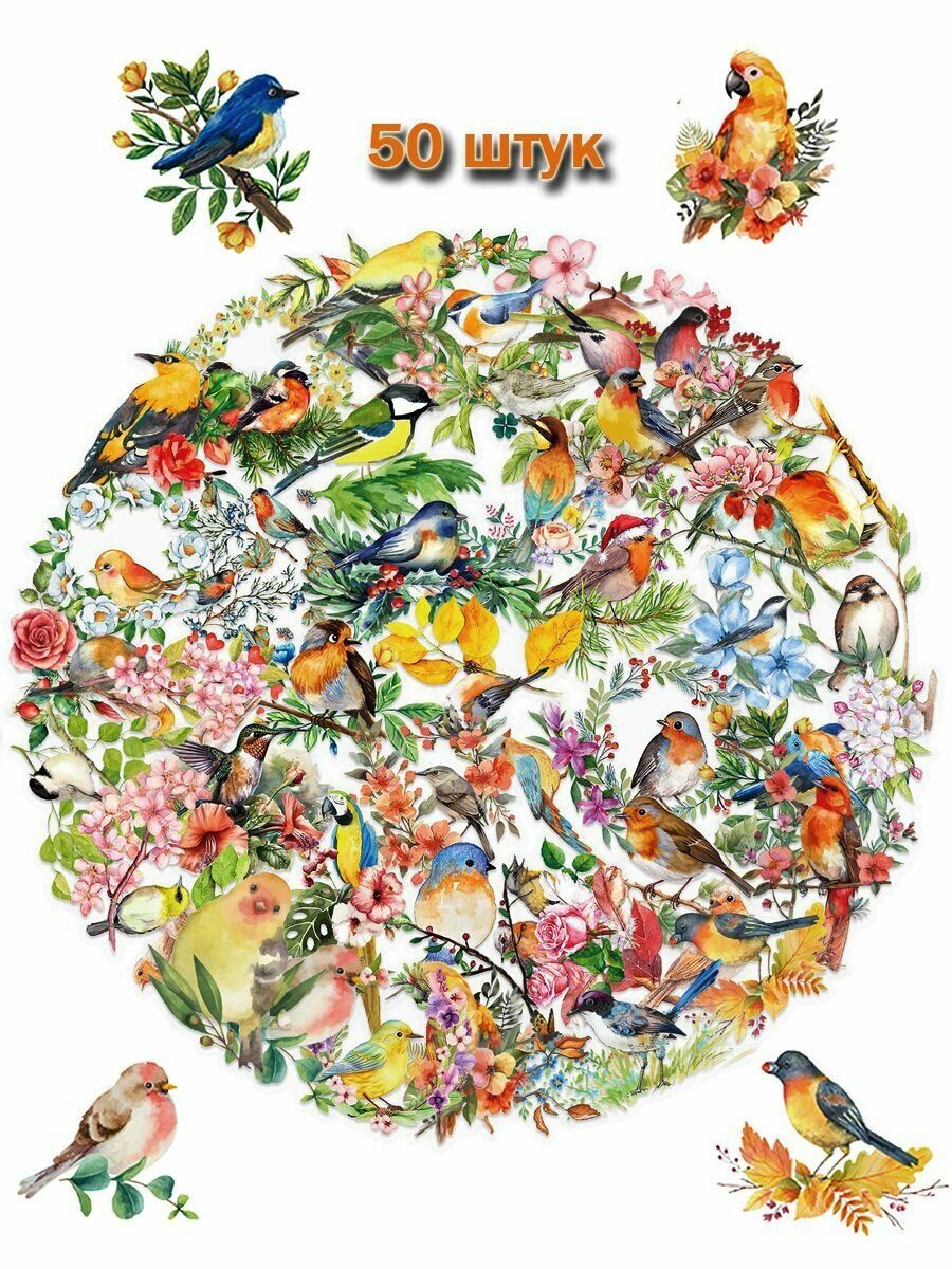 Мультяшные акварельные наклейки с птицами, набор 50 шт водонепроницаемые PET стикеры для телефона, ноутбука, багажа, гитары, скейтборда и дневника