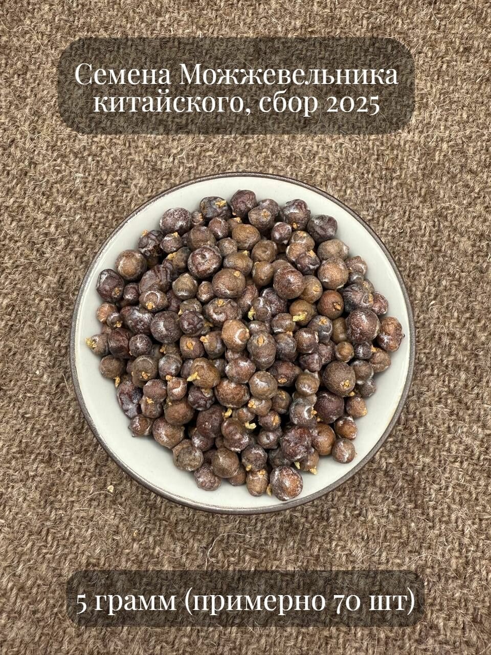 Семена Можжевельника китайского, 5 грамм (примерно 70 шт)