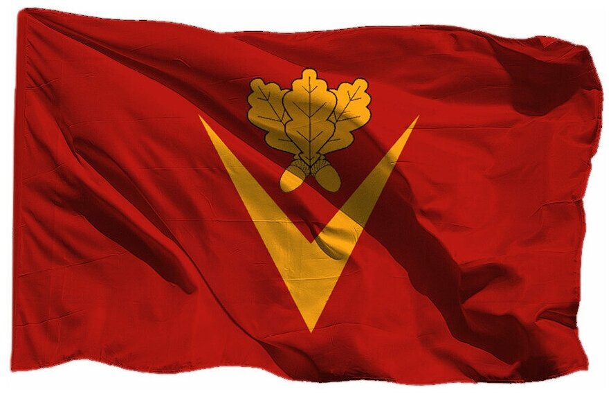 Флаг Борисоглебска на сетке, 90х135 см - для улицы, для флагштока