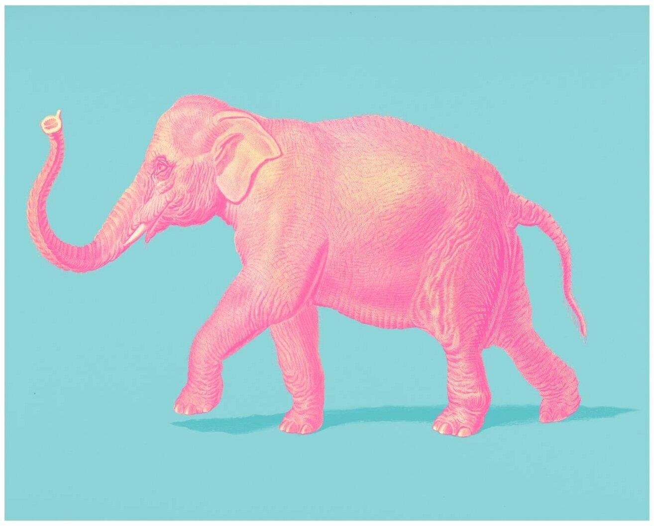 Постер / Плакат / Картина Розовый Слон 40х50 см в подарочном тубусе