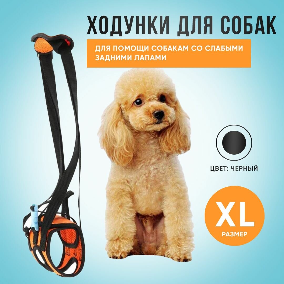 Ходунки для собак, пожилых и травмированных. Размер XL.