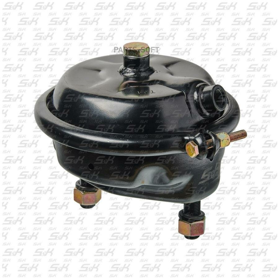 SK301000601 S&K Камера тормозная [T24 прав/лев для дискового торм. положение возд. порта 0°]