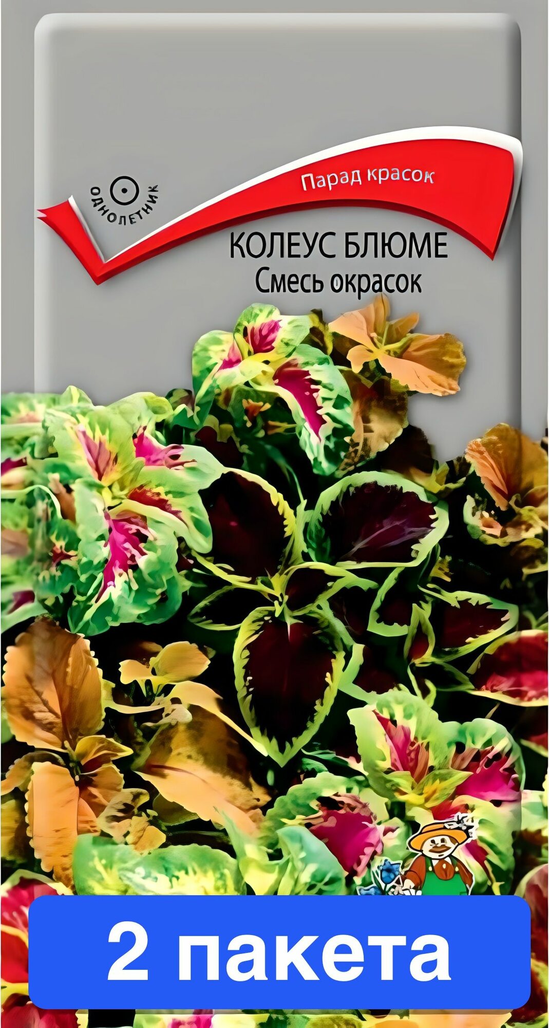Цветы Колеус Блюме Смесь окрасок 2 пакета
