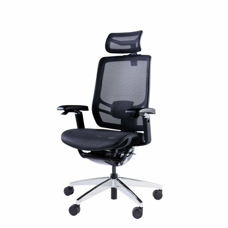 Премиум эргономичное кресло GT Chair InFlex X, максимальная нагрузка: 113,4 кг, черный